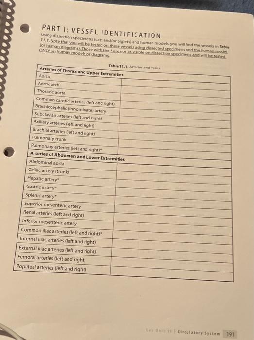 PART I: VESSEL IDENTIFICATION Using dissection | Chegg.com