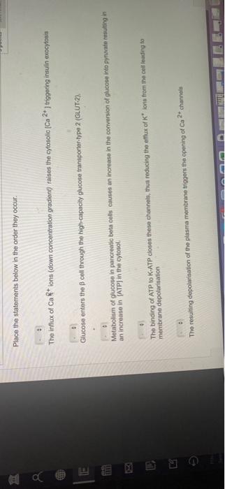 Solved Place the statements below in the order they occur. | Chegg.com