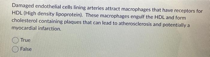 Solved Damaged endothelial cells lining arteries attract | Chegg.com