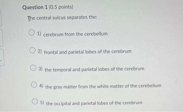 Solved The central sulcus separates the: 1) cerebrum from | Chegg.com Solved The central sulcus separates the: 1) cerebrum from | Chegg.com
