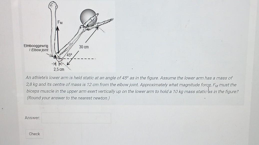 Solved An athlete's lower arm is held static at an angle of | Chegg.com