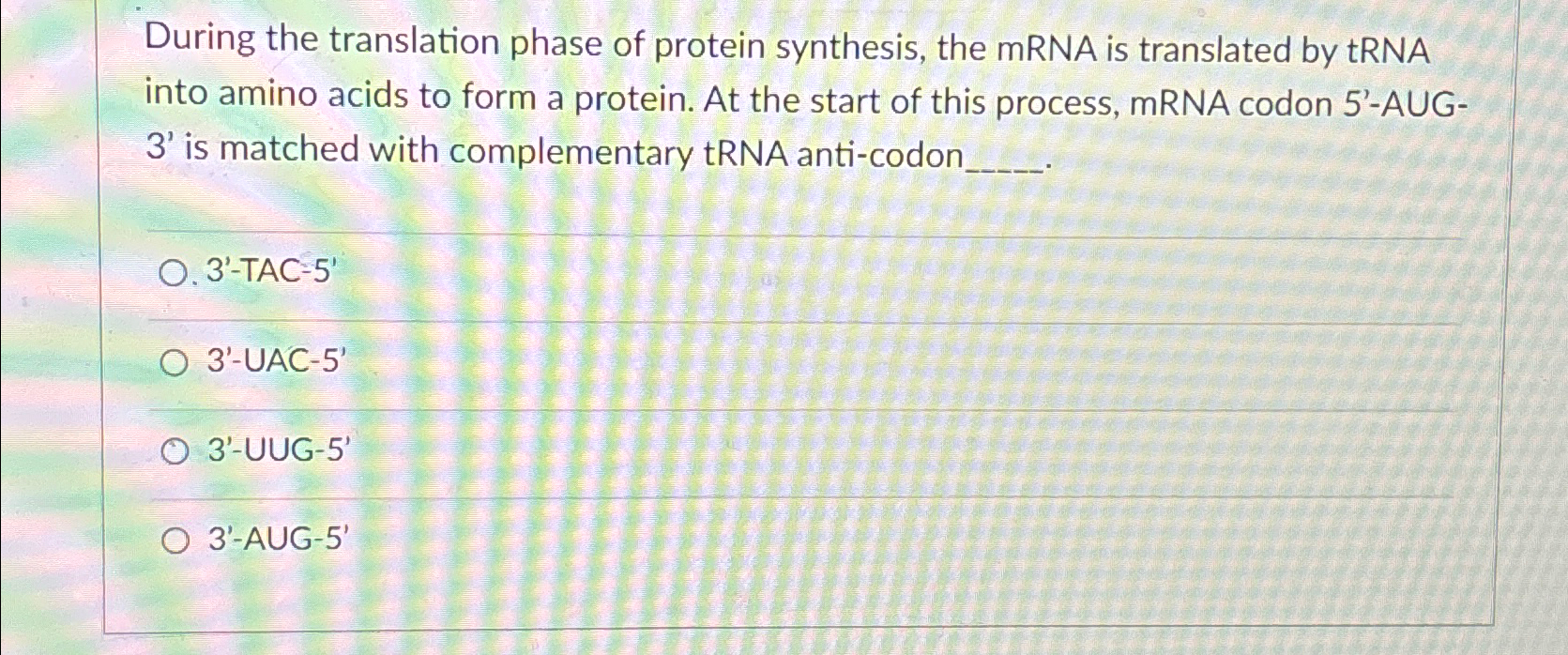 Solved During the translation phase of protein synthesis, | Chegg.com