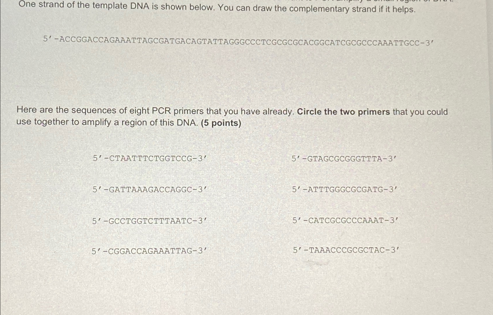Solved One strand of the template DNA is shown below. You | Chegg.com