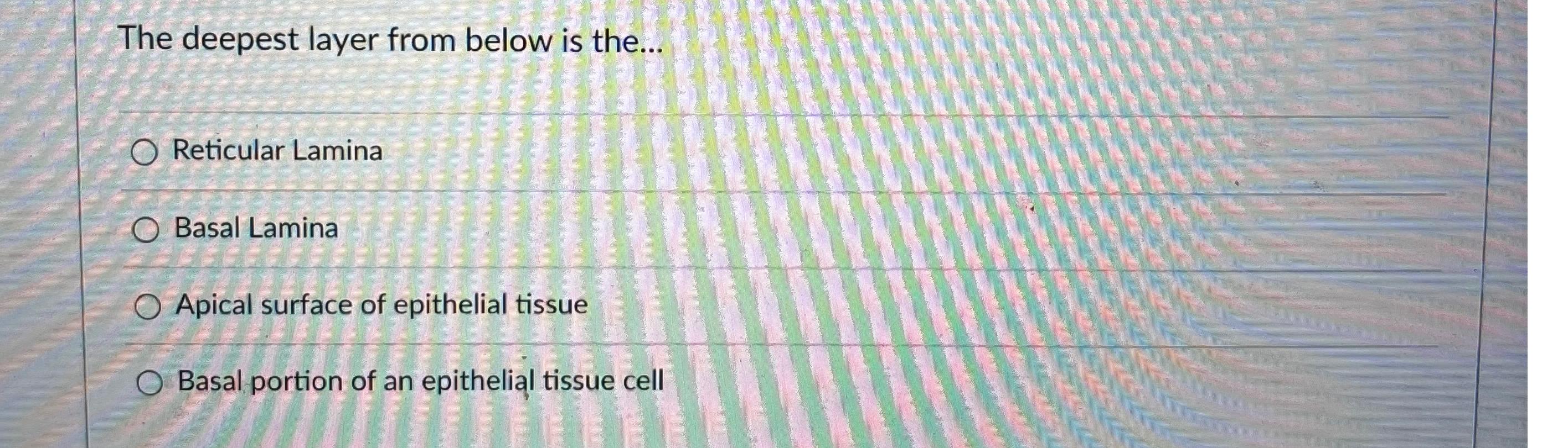 Solved The deepest layer from below is the...Reticular | Chegg.com