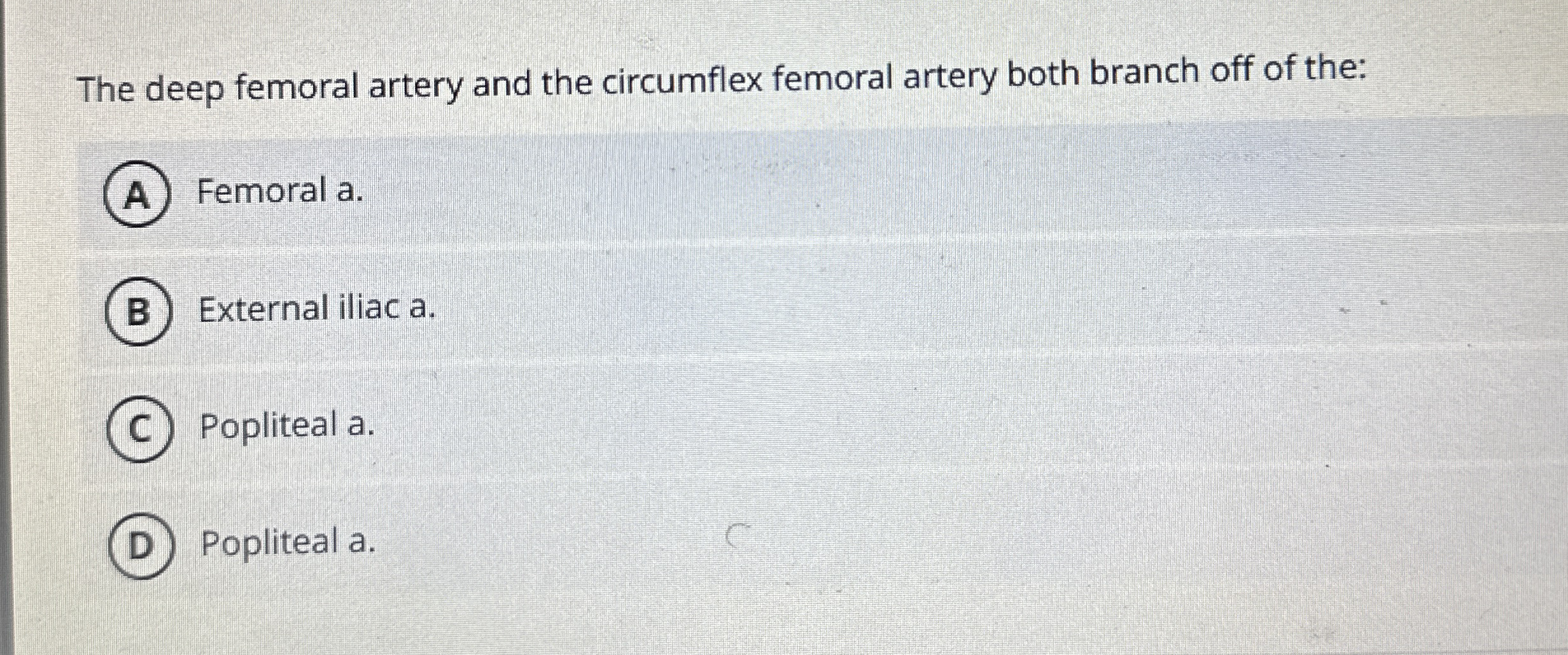 Solved The deep femoral artery and the circumflex femoral | Chegg.com