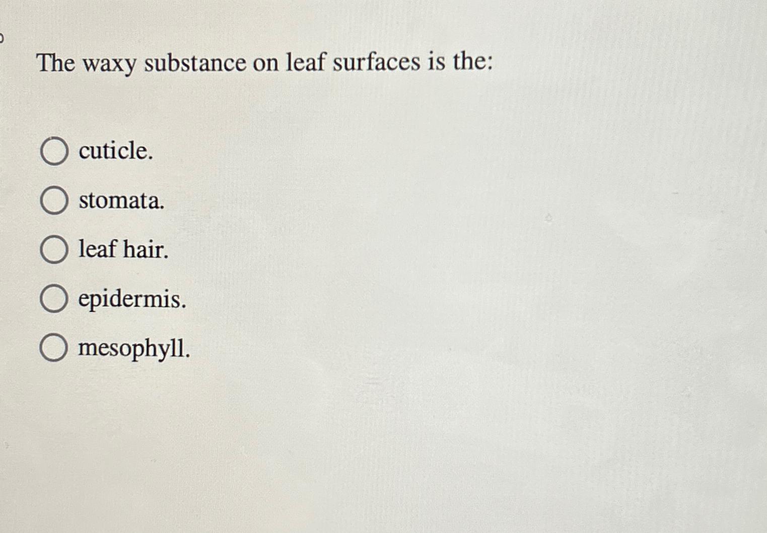 Solved The waxy substance on leaf surfaces is | Chegg.com