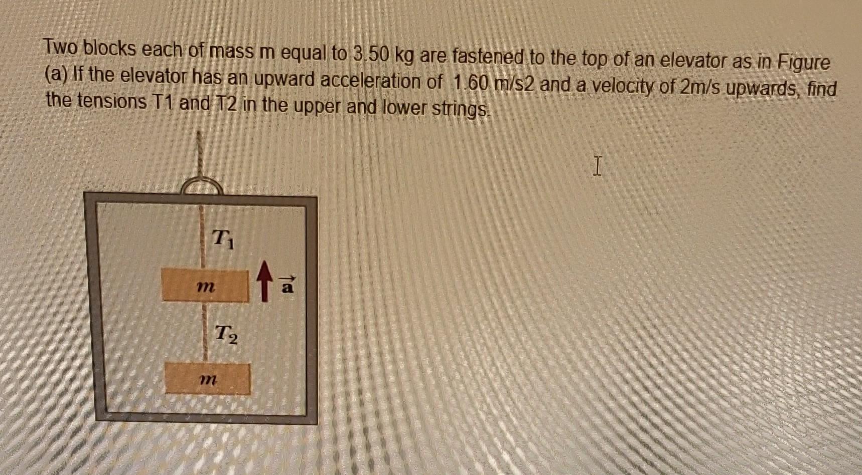Solved Two blocks each of mass m equal to 3.50 kg are | Chegg.com