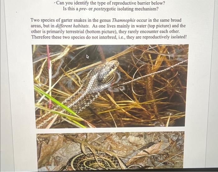 Solved Activity: Identifying Mechanisms of Reproductive | Chegg.com