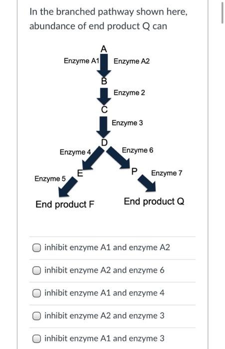 Solved In the branched pathway shown here, abundance of end | Chegg.com