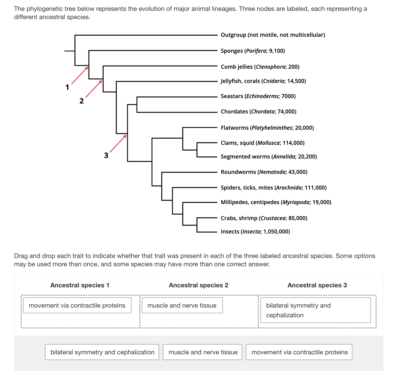 Solved The phylogenetic tree below represents the evolution | Chegg.com