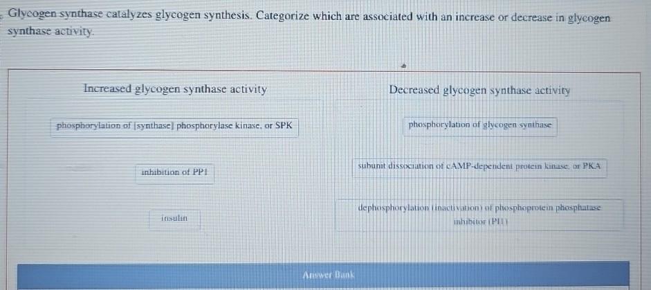 Solved Glycogen synthase catalyzes glycogen synthesis. | Chegg.com