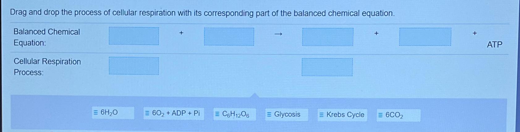 Solved Drag and drop the process of cellular respiration | Chegg.com