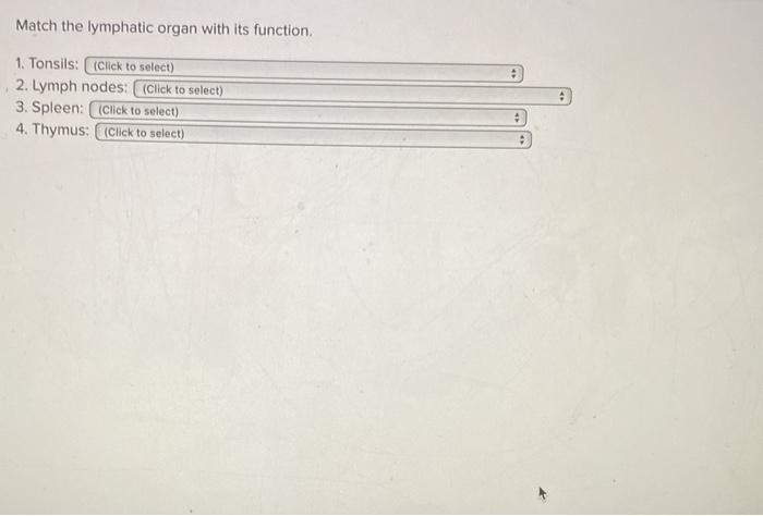 Match the lymphatic organ with its function 1. | Chegg.com
