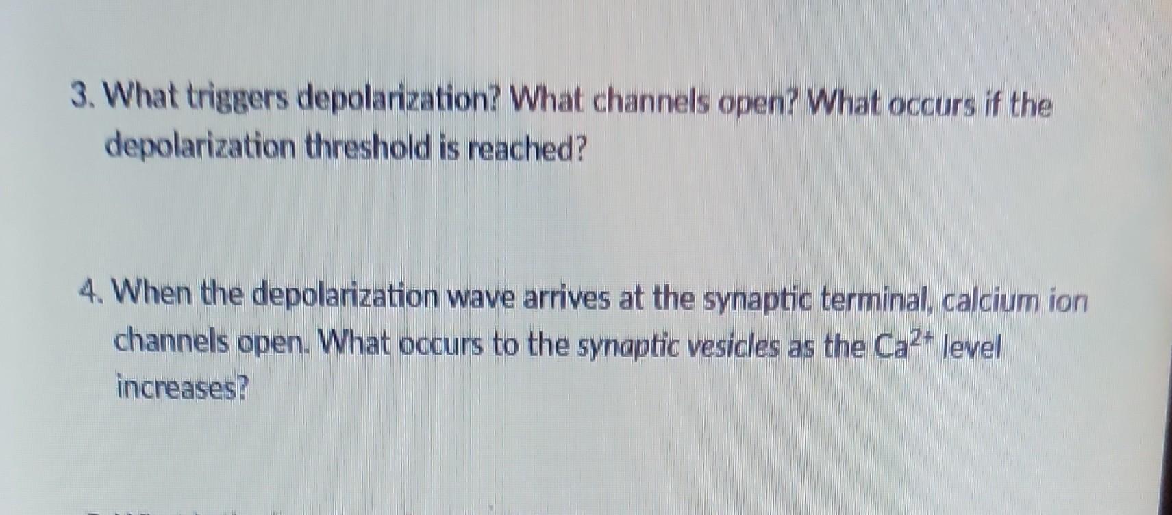 Solved 3. What triggers depolarization? What channels open? | Chegg.com