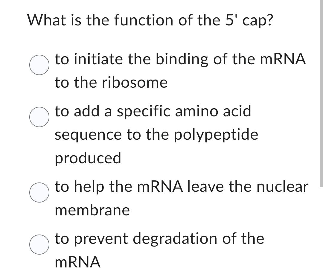 Solved What is the function of the 5' ﻿cap?to initiate the | Chegg.com