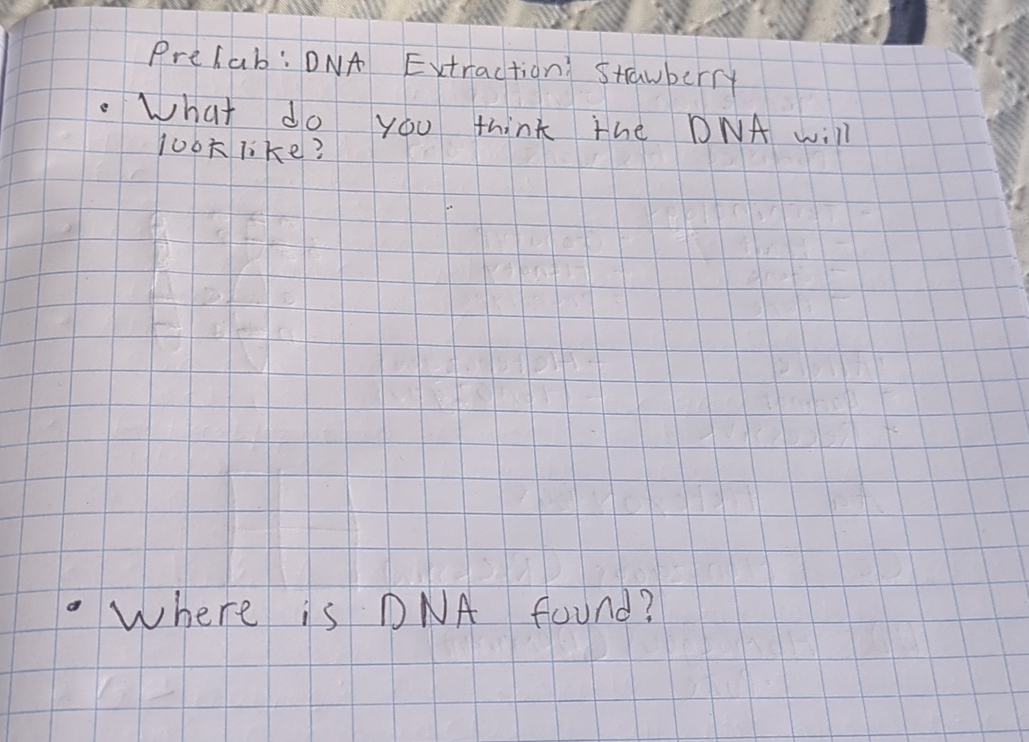 Solved Prefab: DNA Extraction: StrawberryWhat do you think | Chegg.com