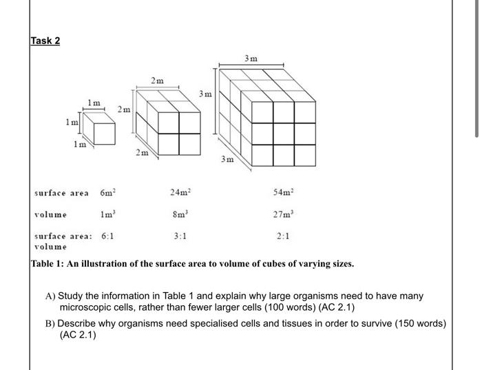 Solved able 1: An illustration of the surface area to volume | Chegg.com