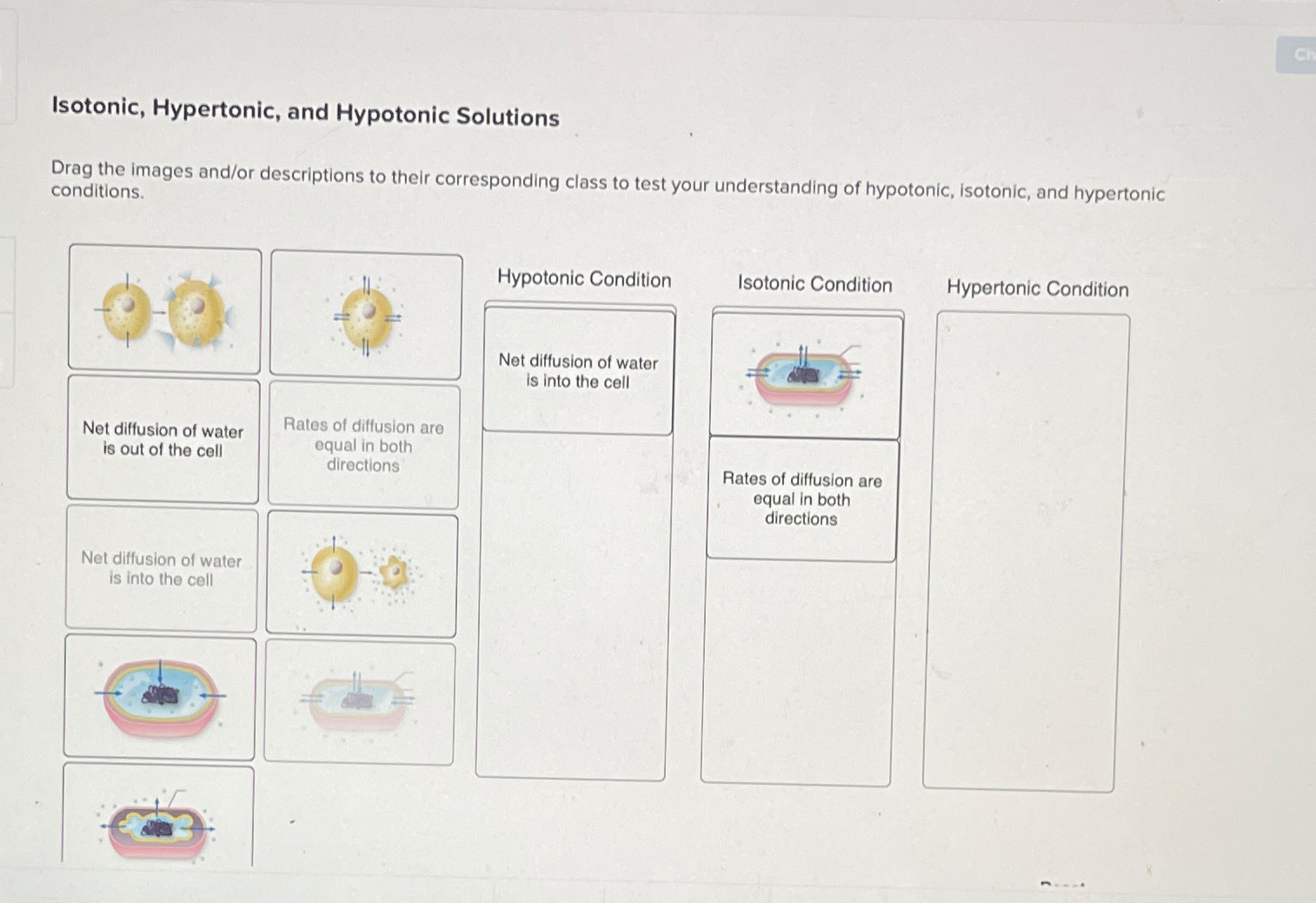 Solved Isotonic, Hypertonic, and Hypotonic SolutionsDrag the | Chegg.com