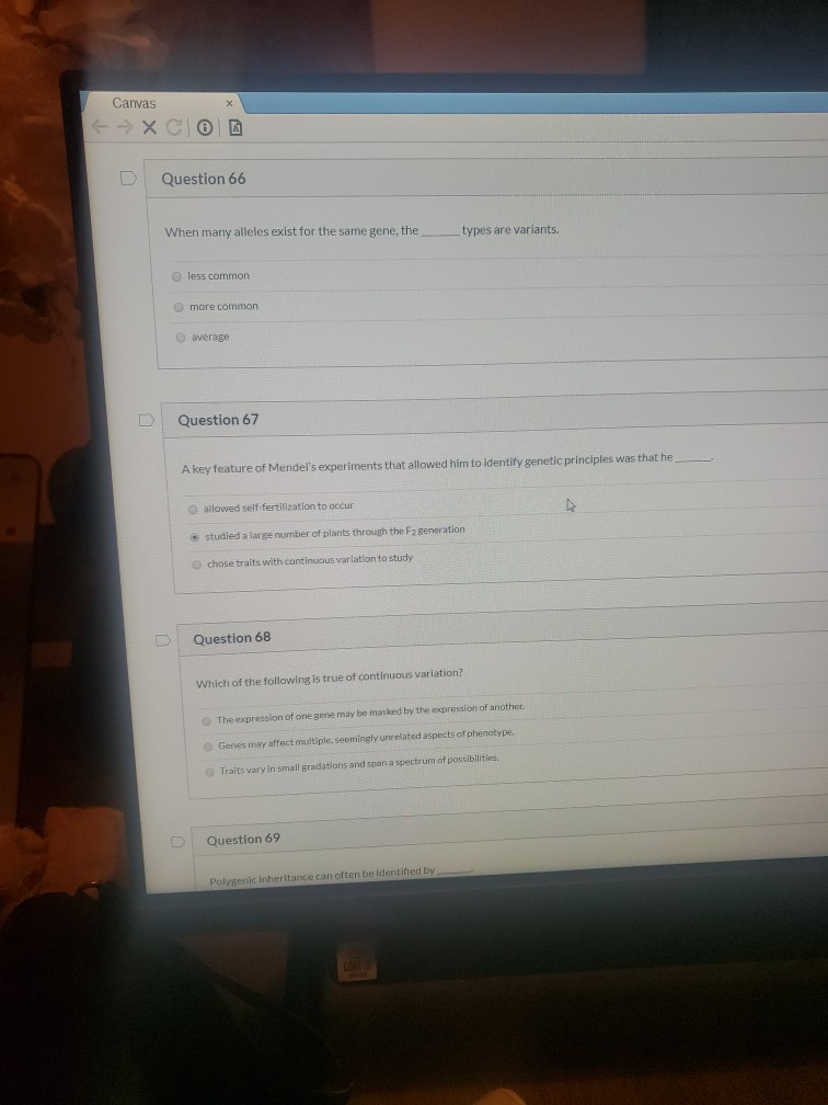 Solved X Canvas & XC Question 66 When many alleles exist for | Chegg.com