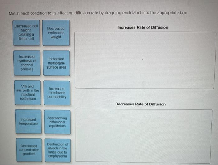 Solved Match each condition to its effect on diffusion rate | Chegg.com