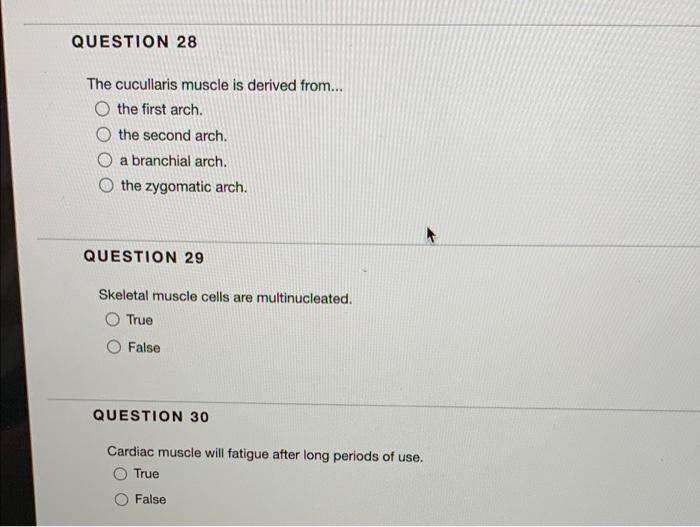 Solved QUESTION 28 The cucullaris muscle is derived from... | Chegg.com