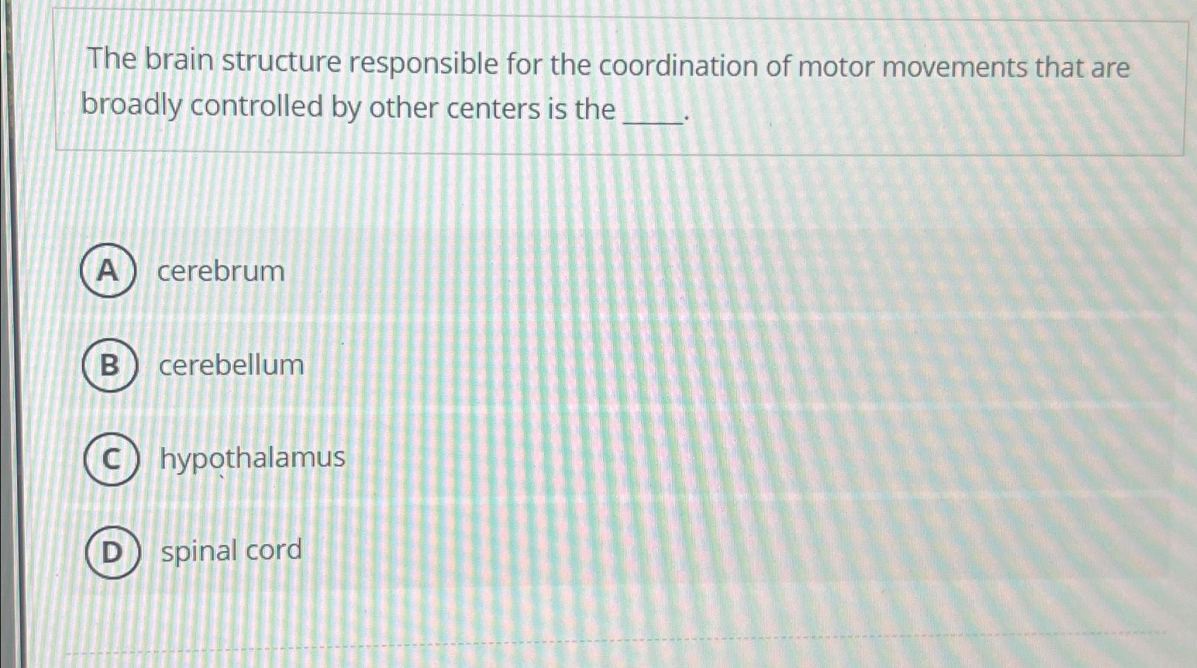 Solved The brain structure responsible for the coordination | Chegg.com