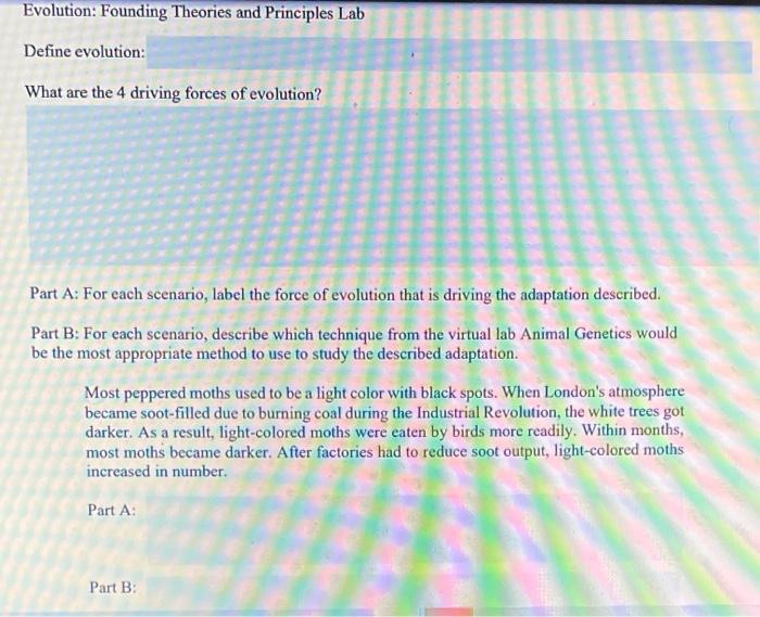 Solved Evolution: Founding Theories and Principles Lab | Chegg.com