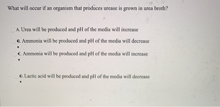 Solved What will occur if an organism that produces urease | Chegg.com