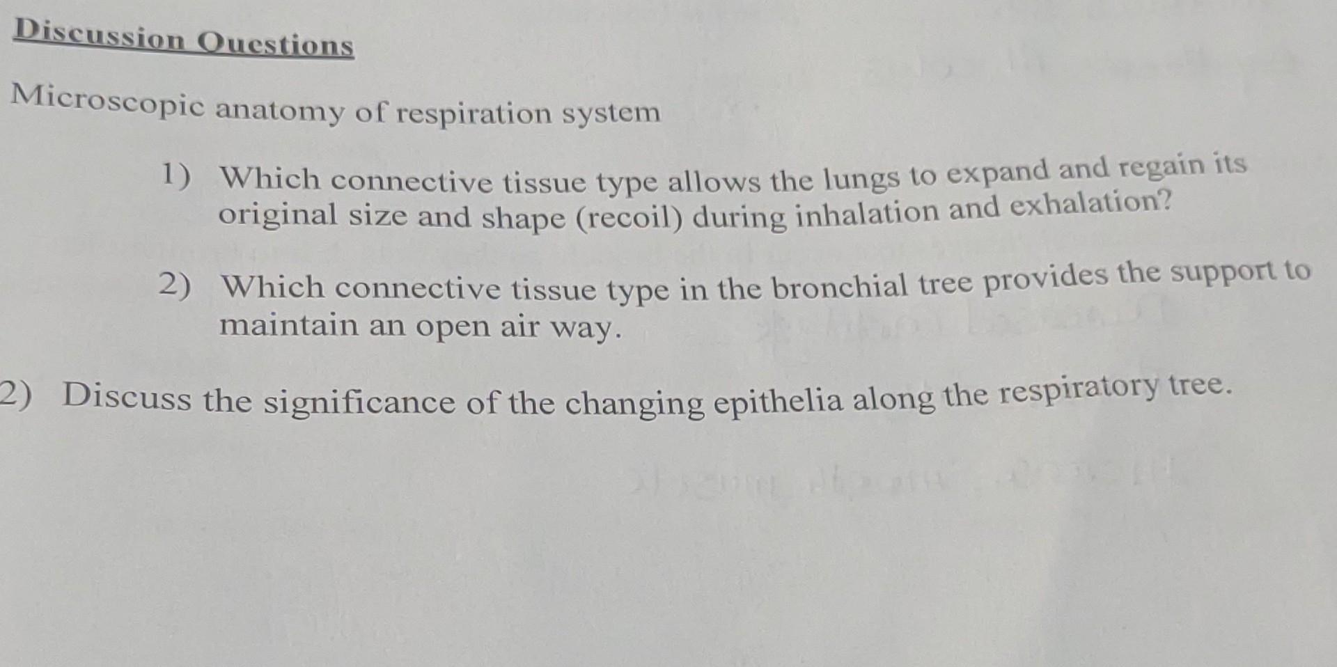 Respiratory System Connective Tissue