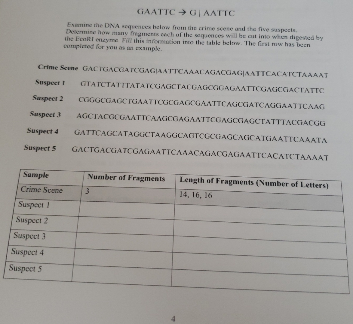 Solved GAATTC→G|AATTC||||||Examine the DNA sequences below | Chegg.com