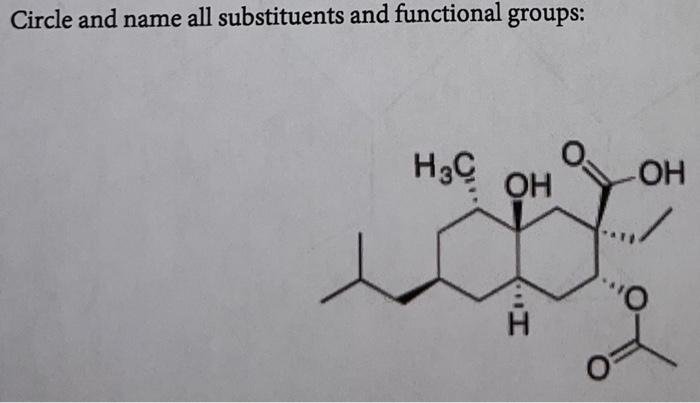 Solved Circle and name all substituents and functional | Chegg.com