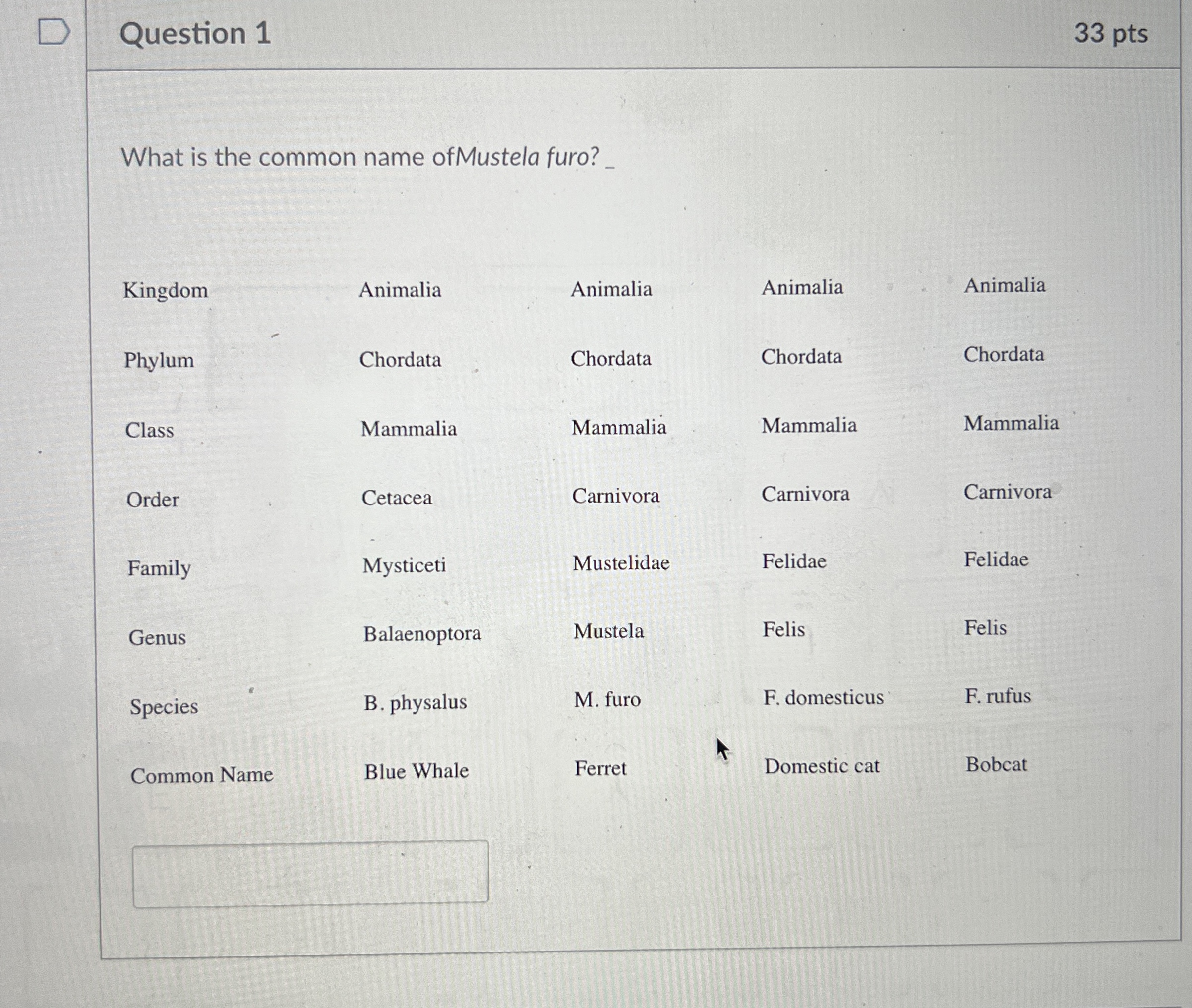 Solved Question 133 ﻿ptsWhat is the common name of Mustela | Chegg.com
