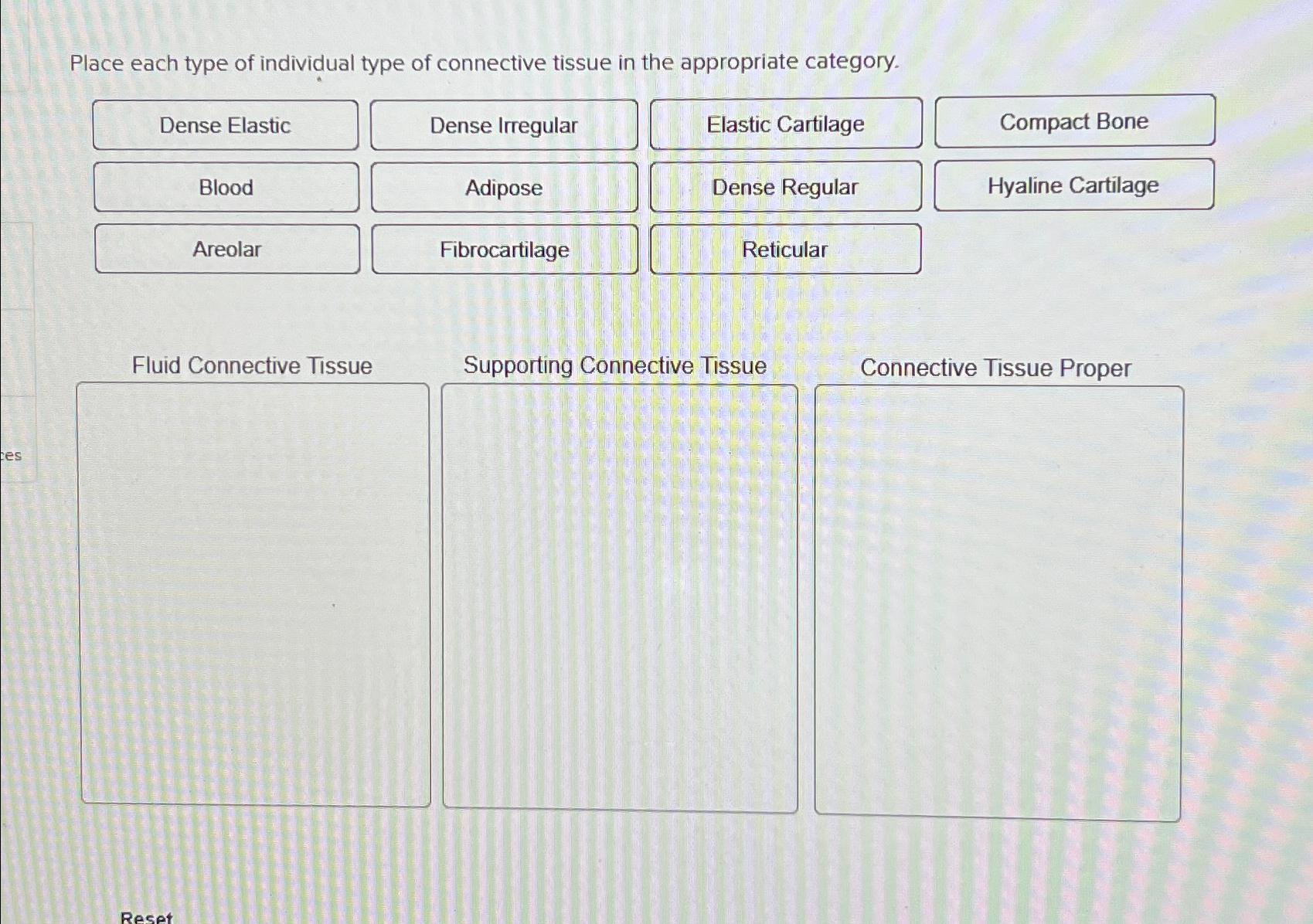 Solved Place each type of individual type of connective | Chegg.com