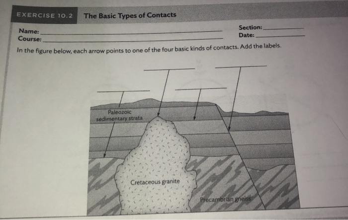 Solved EXERCISE 10.2 The Basic Types of Contacts Name: | Chegg.com