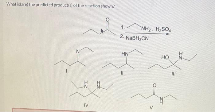 Solved What is(are) the predicted product(s) of the reaction | Chegg.com
