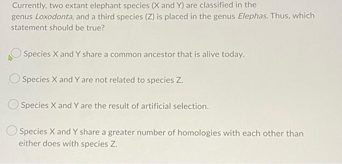 Solved Currently, two extant elephant species (X and Y ) are | Chegg.com