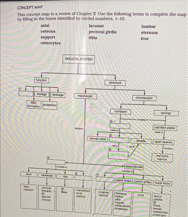 Solved CONCEPT MAP This concept map is a review of Chapter 5 | Chegg.com