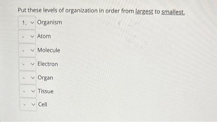 Put these levels of organization in order from | Chegg.com