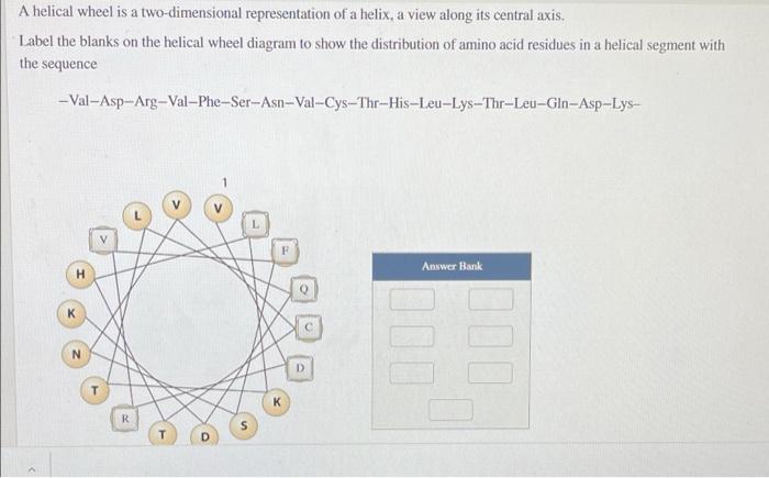 Solved A helical wheel is a two-dimensional representation | Chegg.com