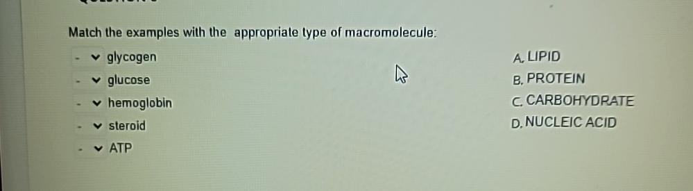 Solved Match the examples with the appropriate type of | Chegg.com