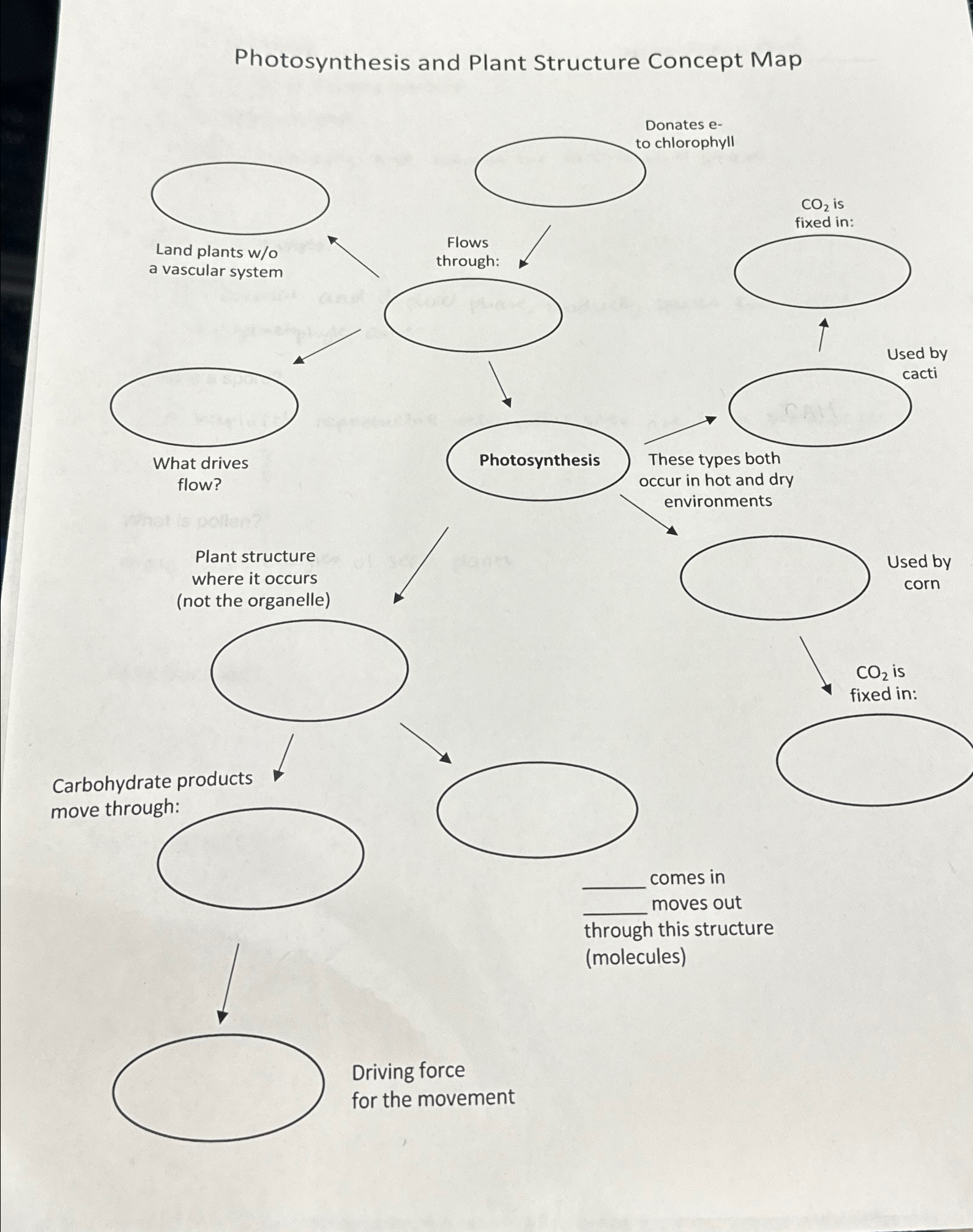 Solved Photosynthesis and Plant Structure Concept MapDonates | Chegg.com