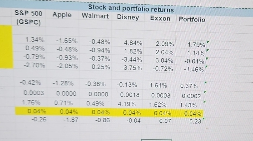 Solved Compare the portfolios performance with the S&P 500 | Chegg.com