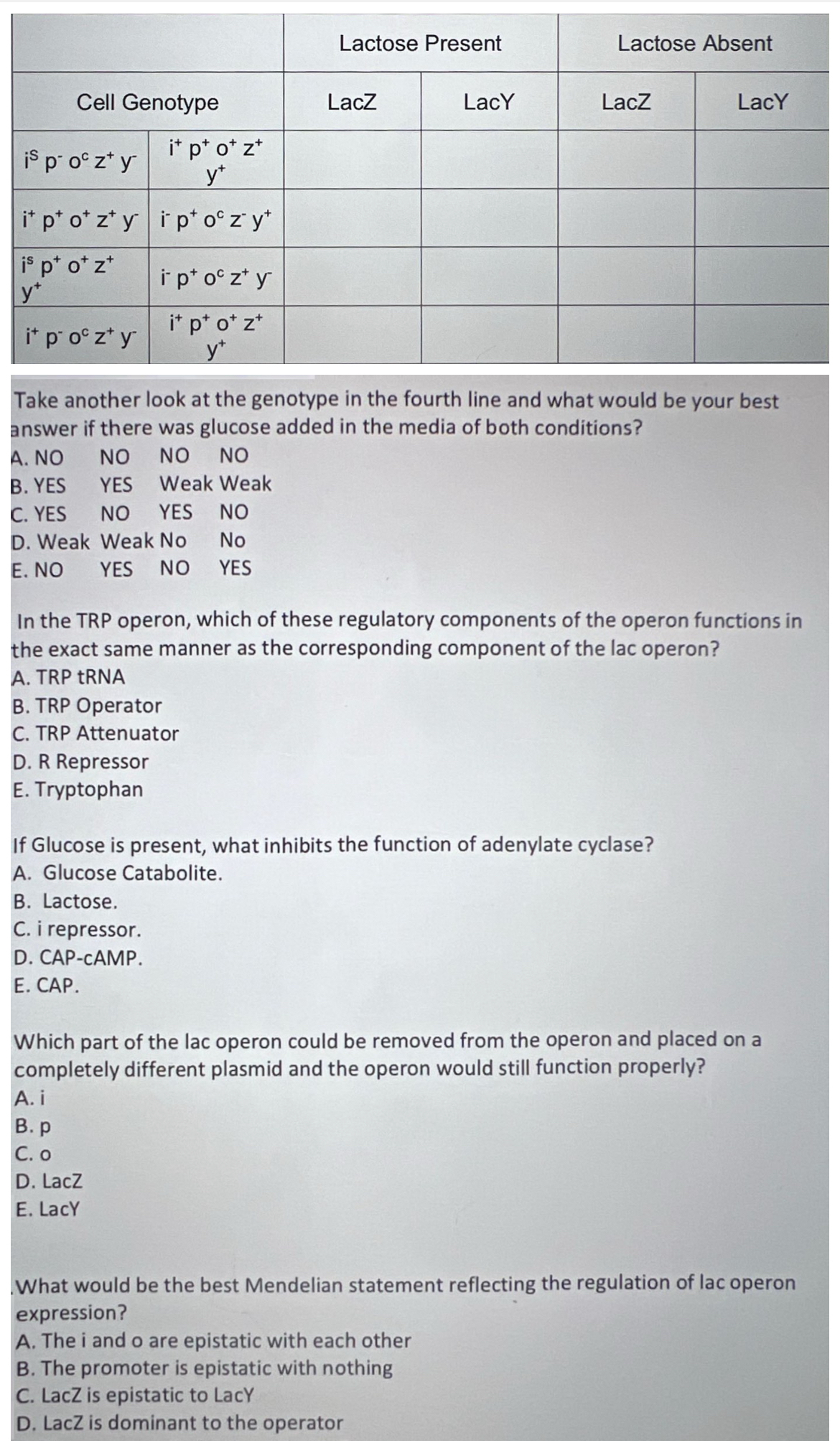 Solved by an EXPERT \table[[,Lactose Present,Lactose Absent],[Cell ...
