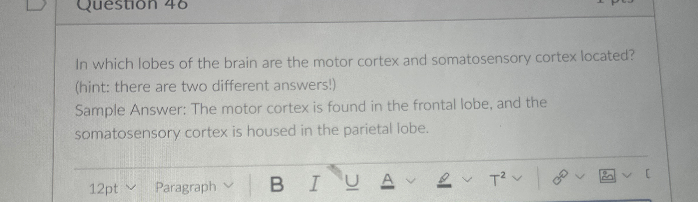 Solved In which lobes of the brain are the motor cortex and | Chegg.com