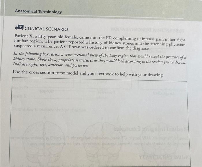 Solved CLINICAL SCENARIO Patient X, a fifty-year-old female, | Chegg.com