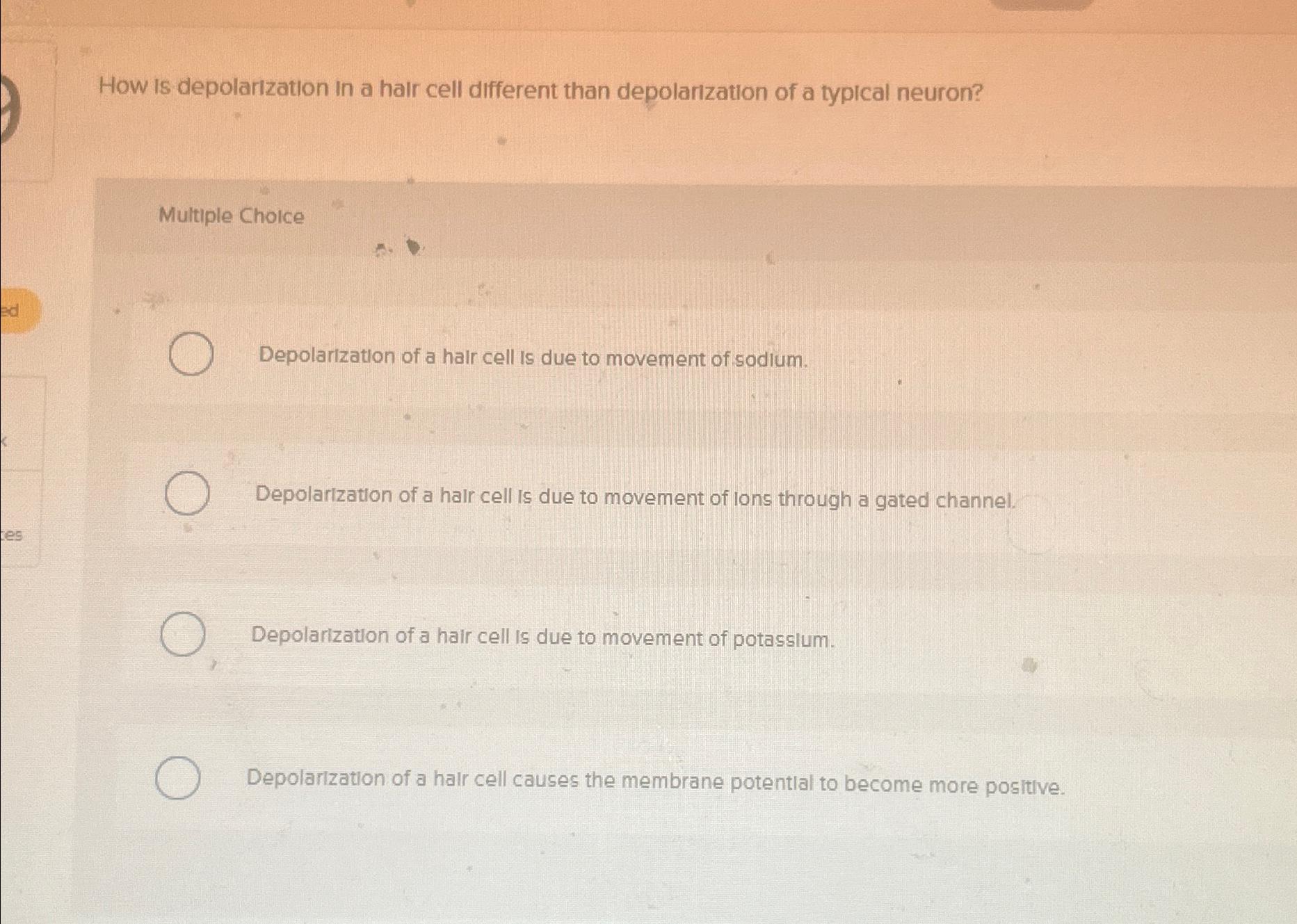 Solved How is depolarization in a halr cell different than | Chegg.com