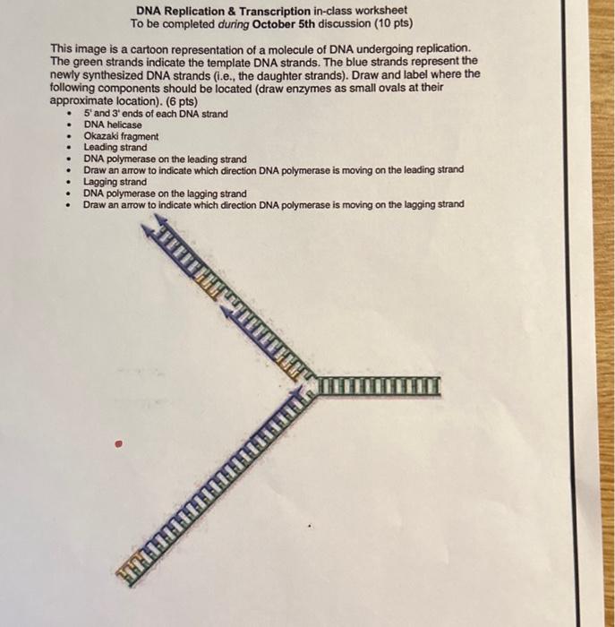 Solved This image is a cartoon representation of a molecule | Chegg.com