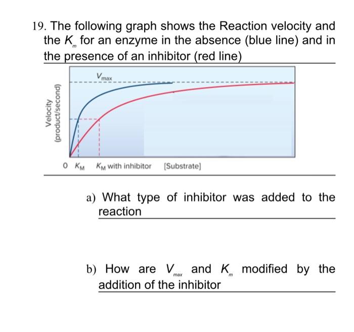 Solved 19. The following graph shows the Reaction velocity | Chegg.com