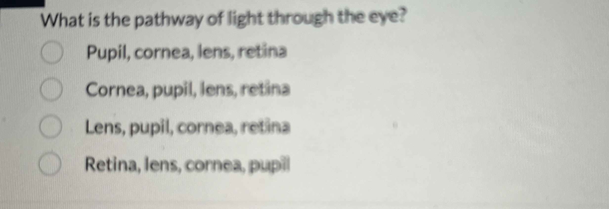 Solved What is the pathway of light through the eye?Pupil, | Chegg.com