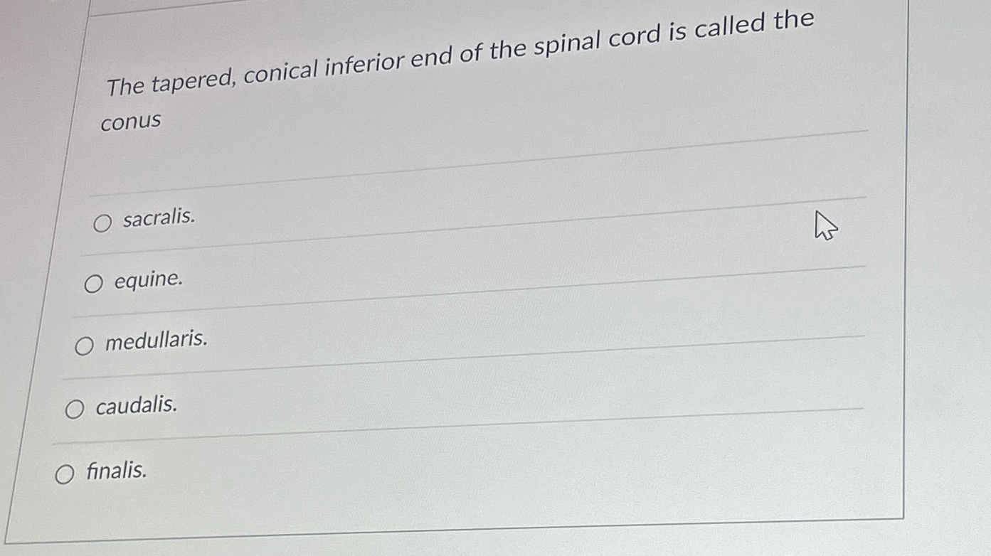 Solved The tapered, conical inferior end of the spinal cord | Chegg.com